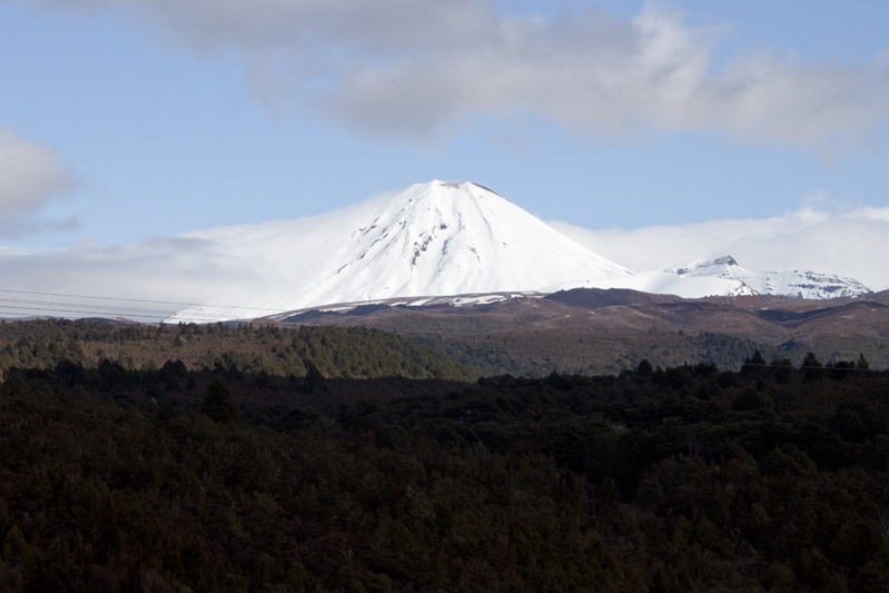 4 Reasons Hamilton, New Zealand is Definitely Worth a Visit ...